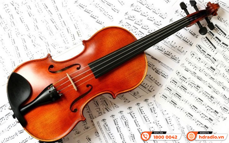 Bảng giá Đàn Violin Chính Hãng, Giá TỐT Nhất 2026!